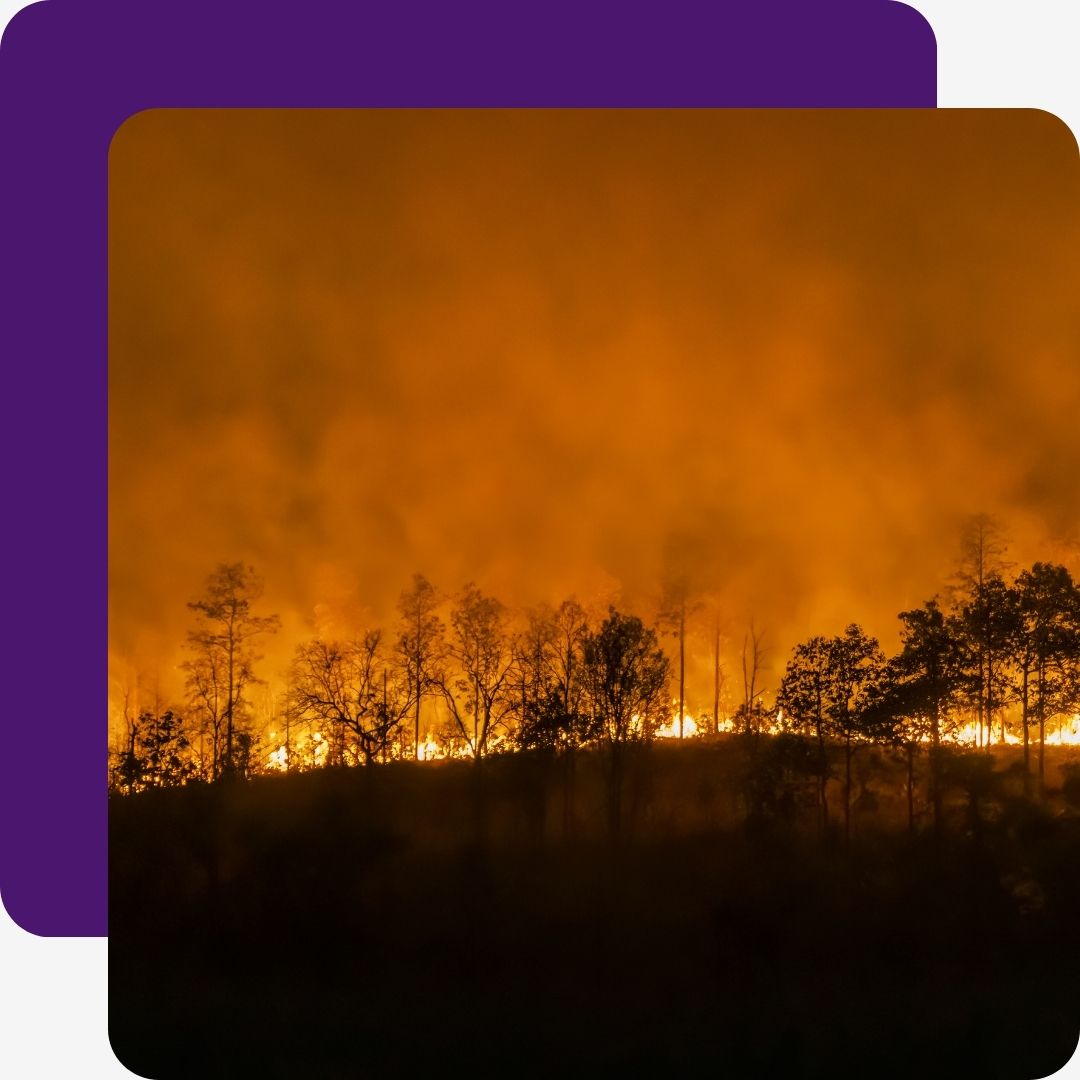 Certified Non-Combustible Fencing & Walls: Wildfire Protection for ...